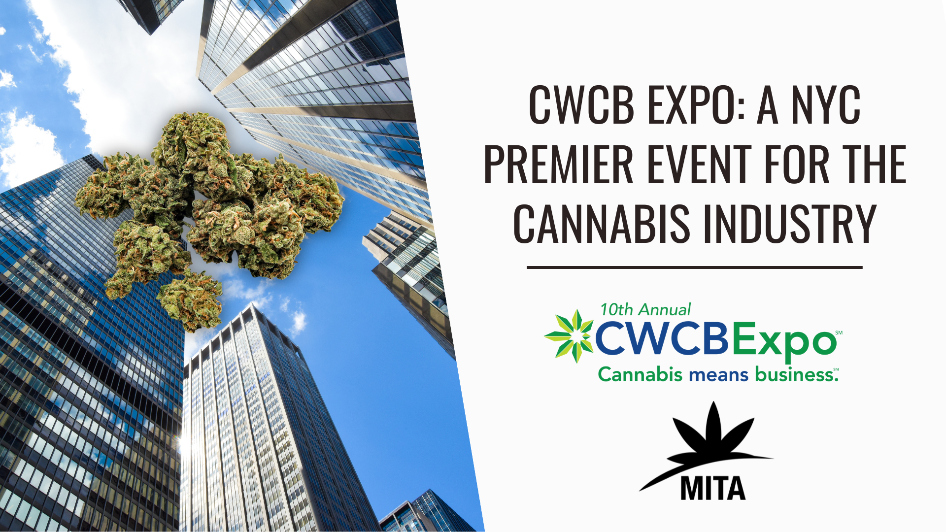 CWCB Expo: A Premier Event for the Cannabis Industry in NYC - MITA USA